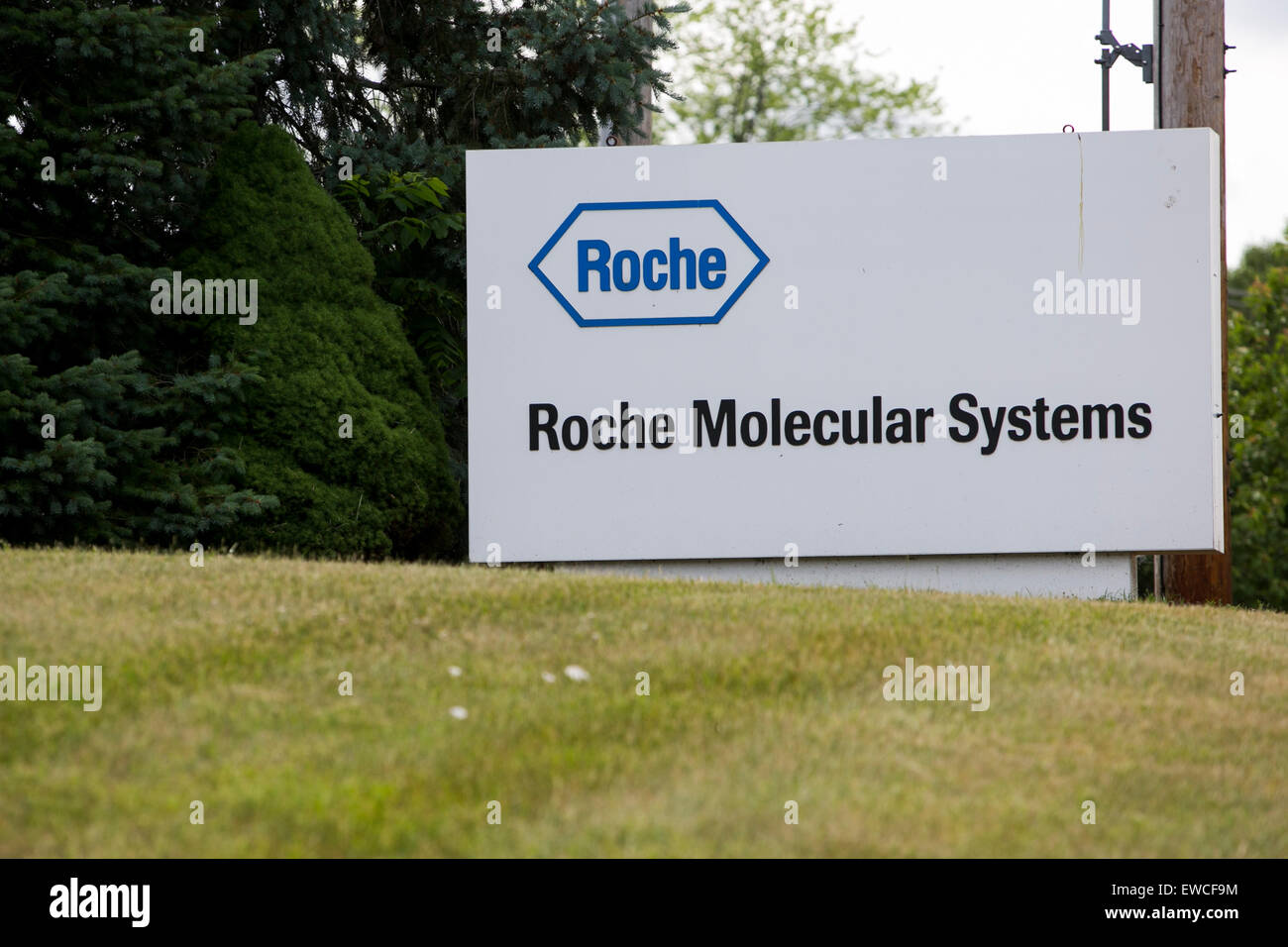 A logo sign outside of facility occupied by Roche Molecular Systems in ...
