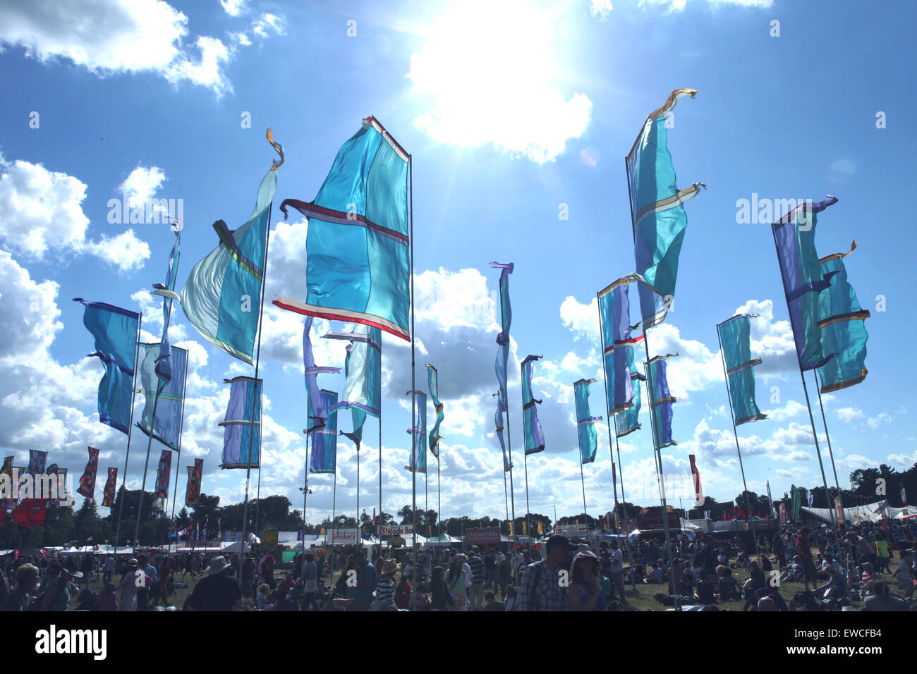 Flags at WOMAD music festival Stock Photo - Alamy
