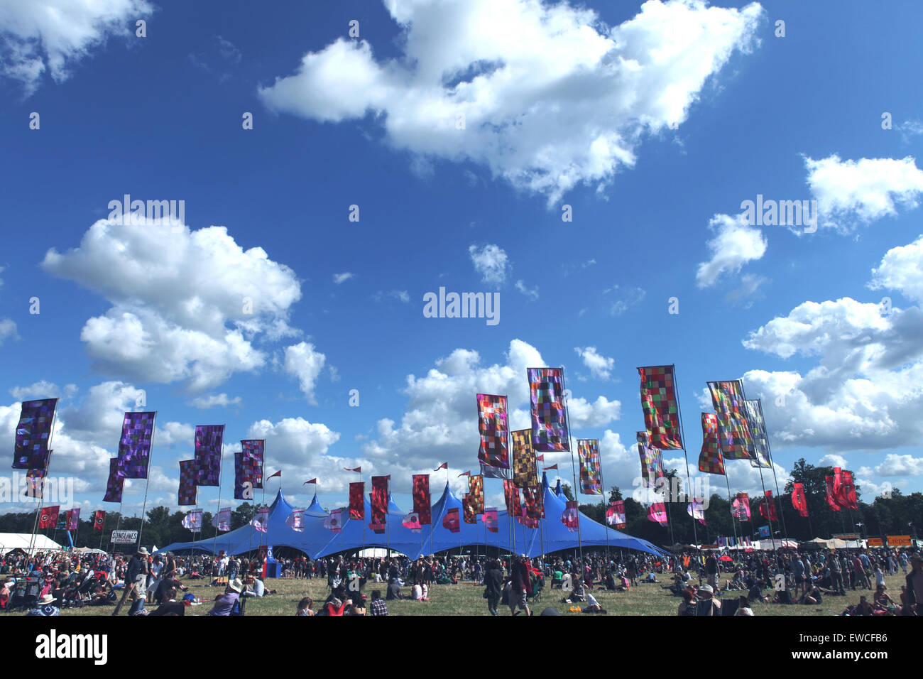 Flags at WOMAD music festival Stock Photo - Alamy