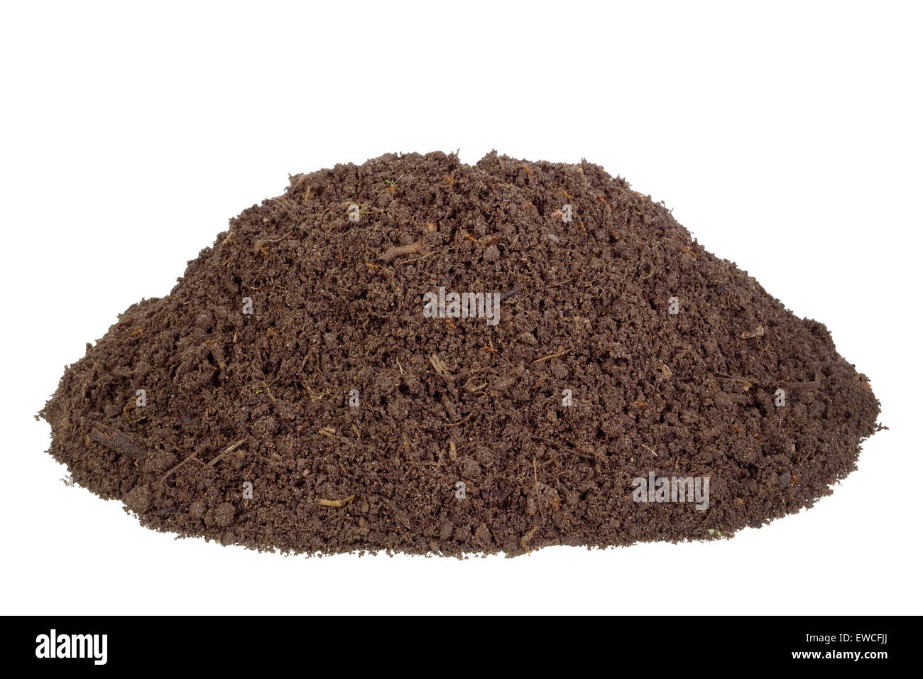 Live insects hi-res stock photography and images - Alamy