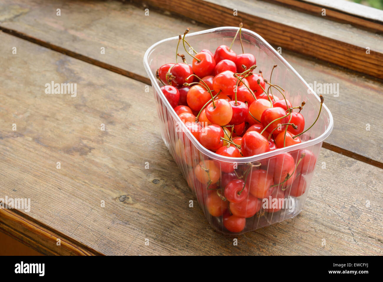 Morello cherries fruit sour hi-res stock photography and images - Alamy