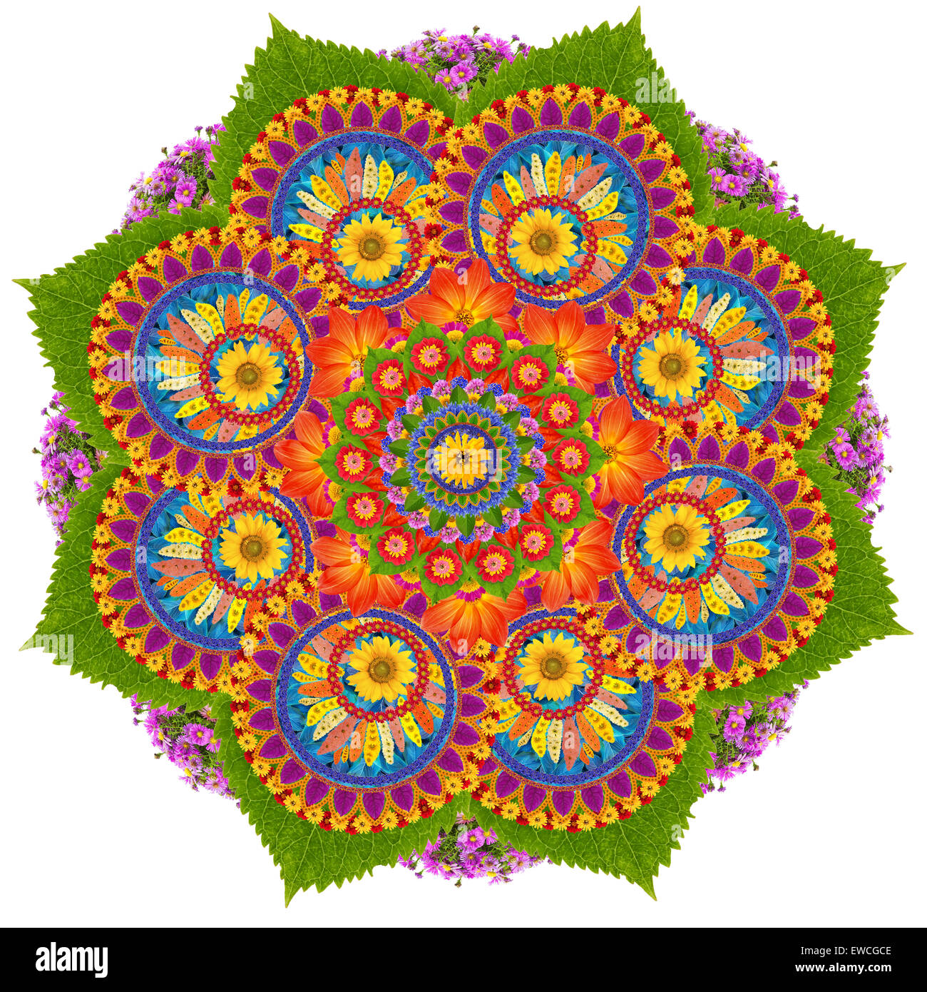 Mandala sign and symbol- the Sacred Lotus- made from vivid summer ...