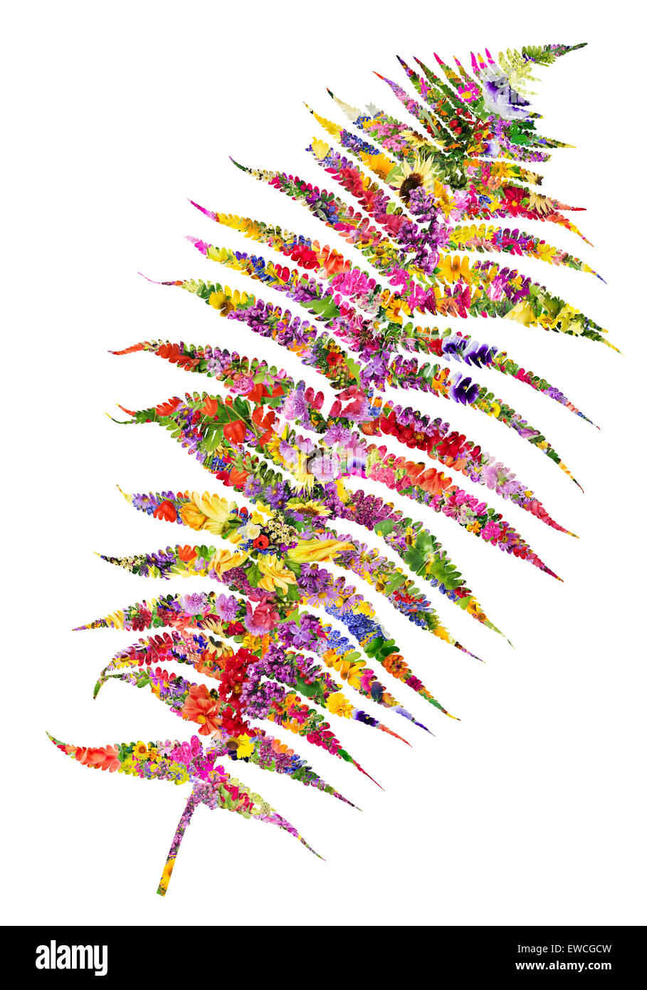 Abstract fern leaf colored in summer flowers. Isolated collage Stock ...