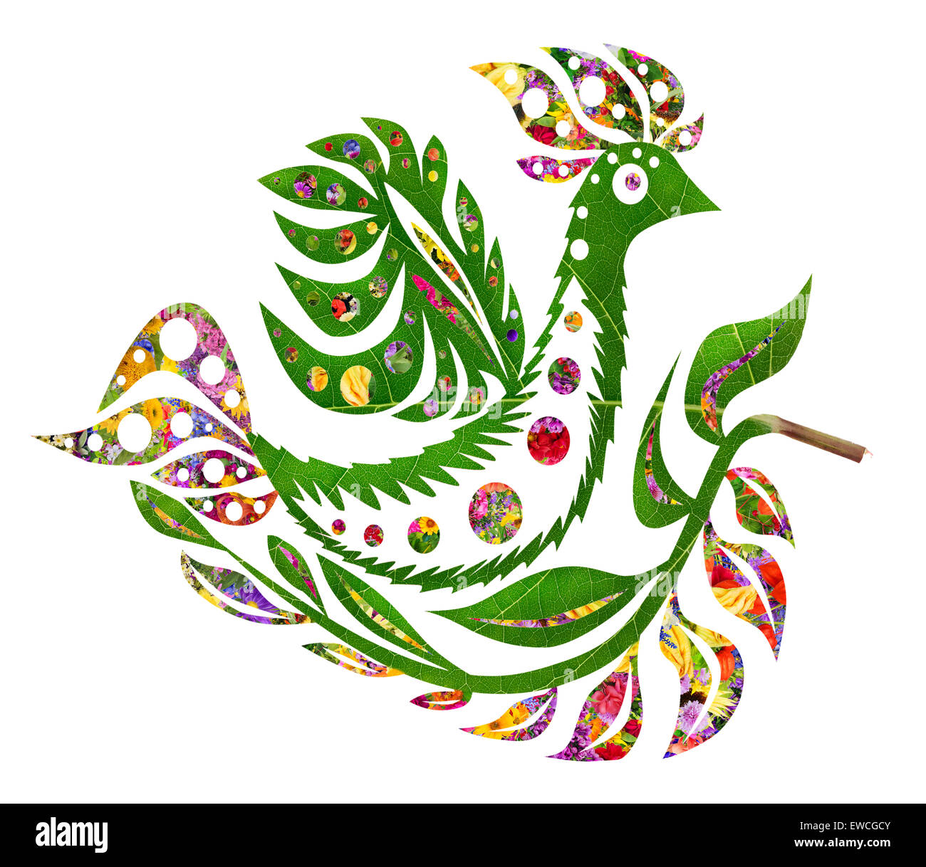 Phoenix beauty Cut Out Stock Images & Pictures - Alamy