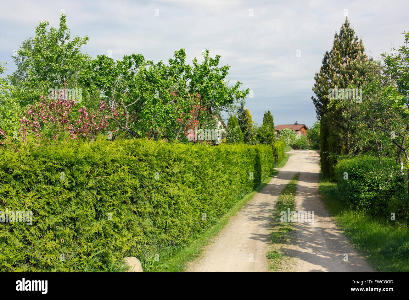 Road and hedge hi-res stock photography and images - Alamy