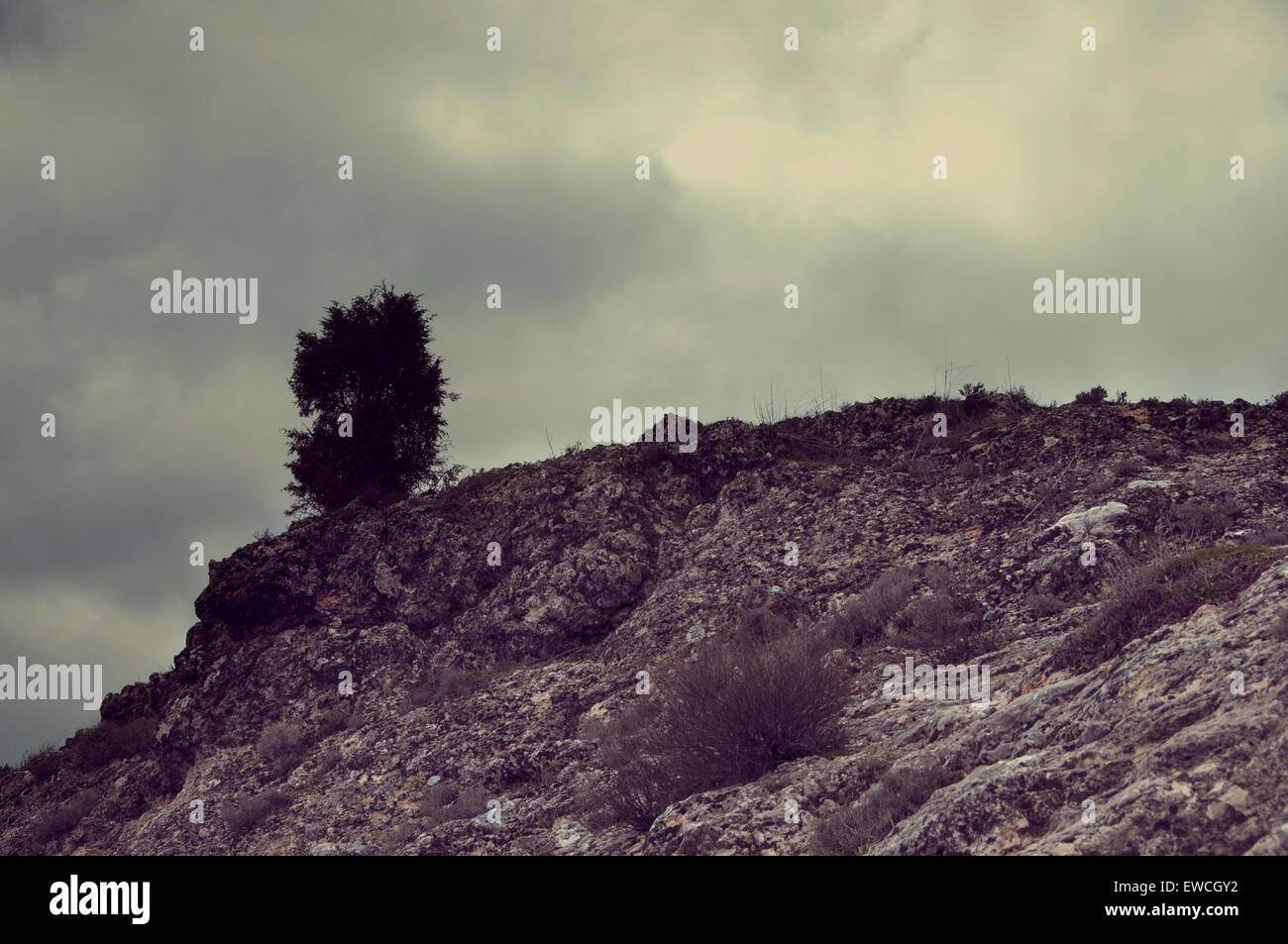 Spectacular rock formations by erosion in Cuenca province. Spain Stock ...