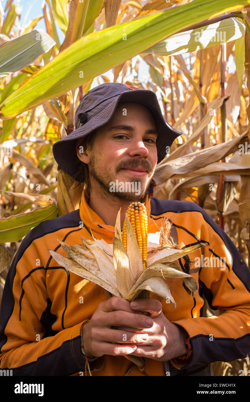 Male in a cornfield hi-res stock photography and images - Alamy
