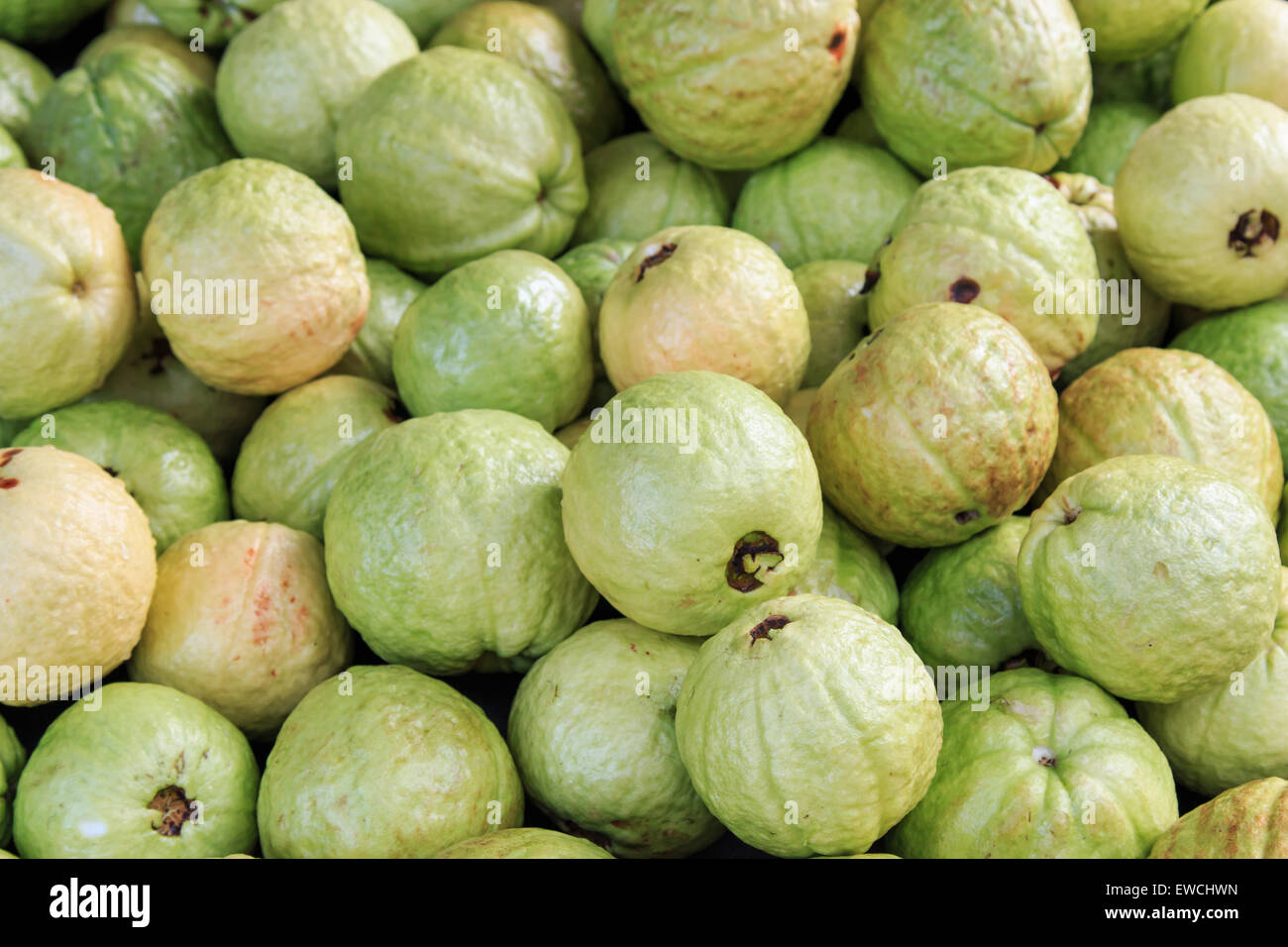 Guavas fruit background Stock Photo - Alamy