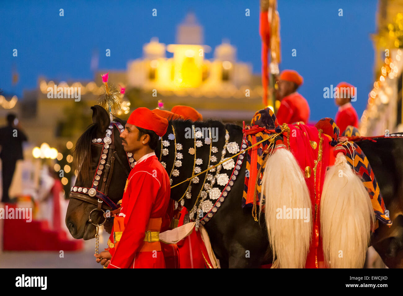 Elaborately decorated Marwari horse with grooms. Participant in the ...