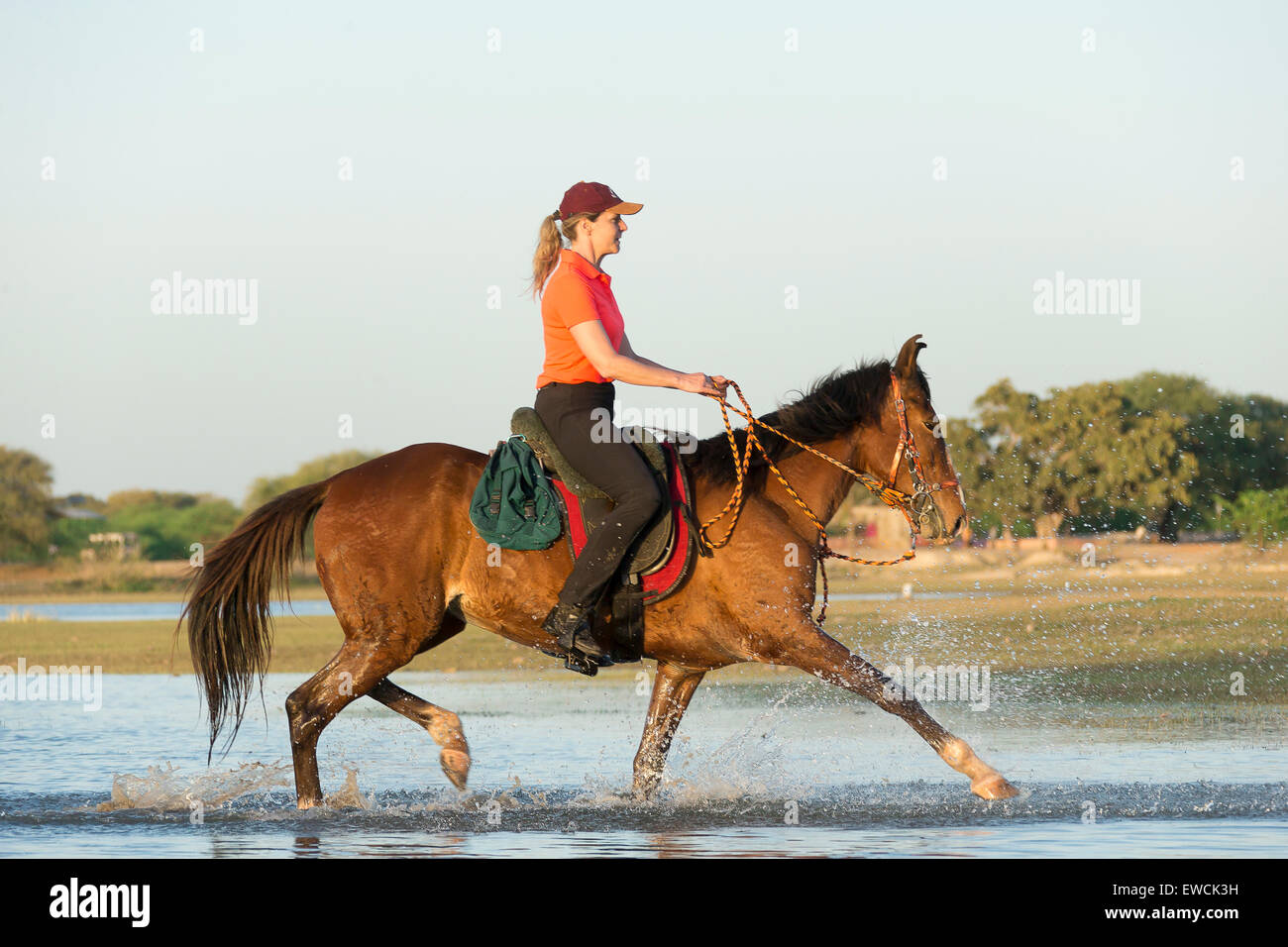 Marwari woman hi-res stock photography and images - Alamy