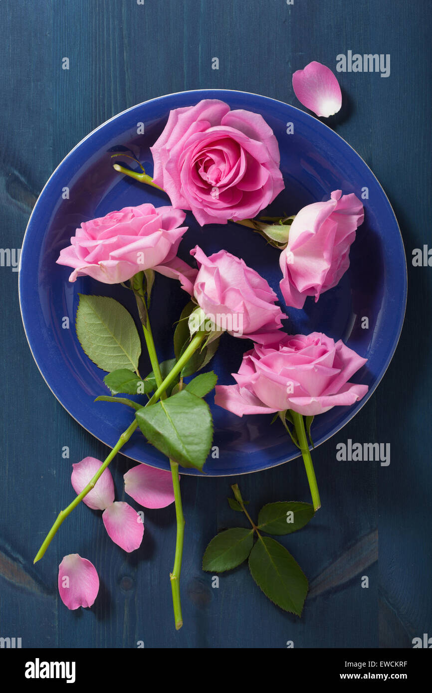 pink rose flowers over dark blue background Stock Photo - Alamy