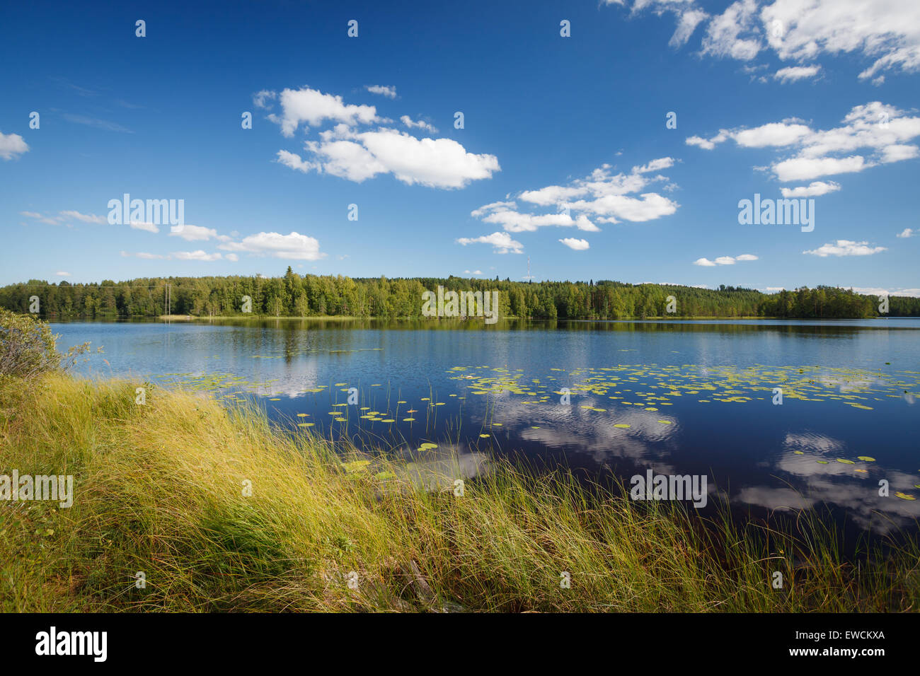 Sunny lake landscape from finland Stock Photo - Alamy