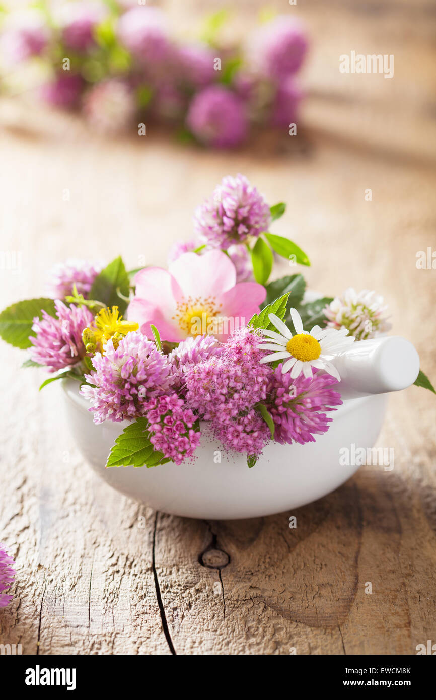 colorful medical flowers and herbs in mortar Stock Photo - Alamy