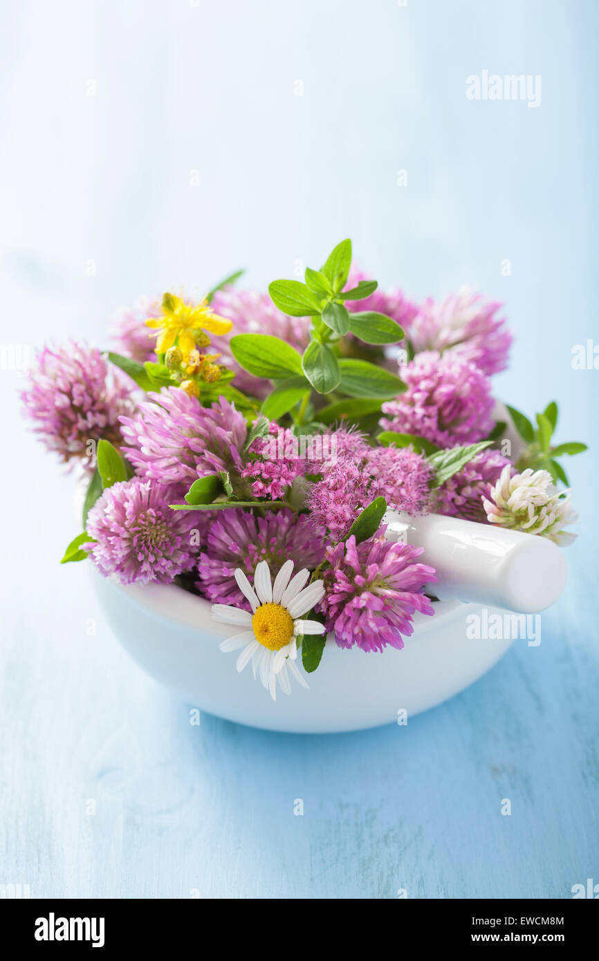 colorful medical flowers and herbs in mortar Stock Photo - Alamy