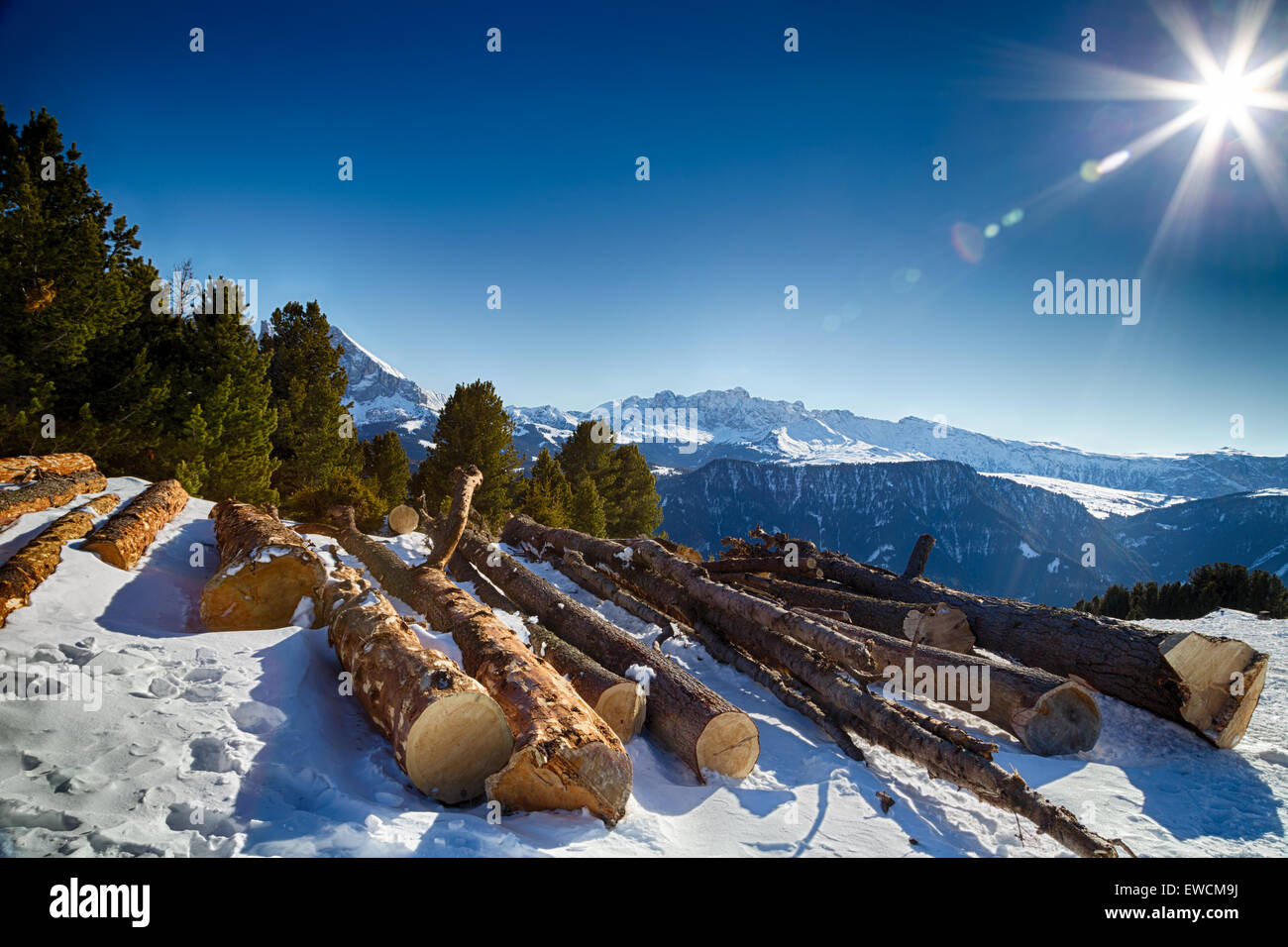 Sawn tree trunks in the snow in front of a panorama of snowy peaks on a ...