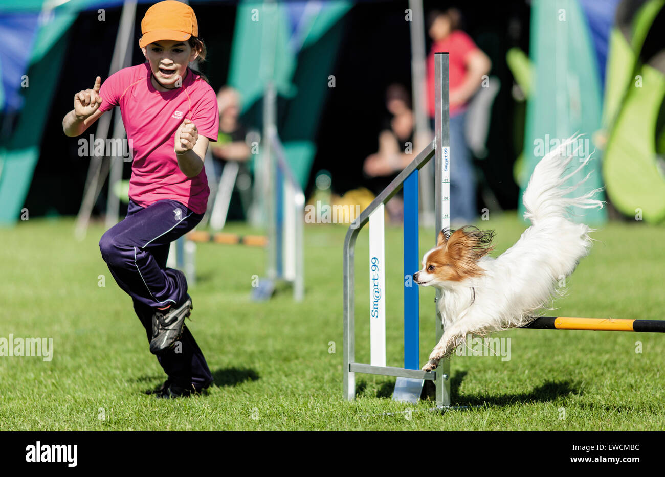 Girl and her dog taking part in an agility competition. Germany Stock ...