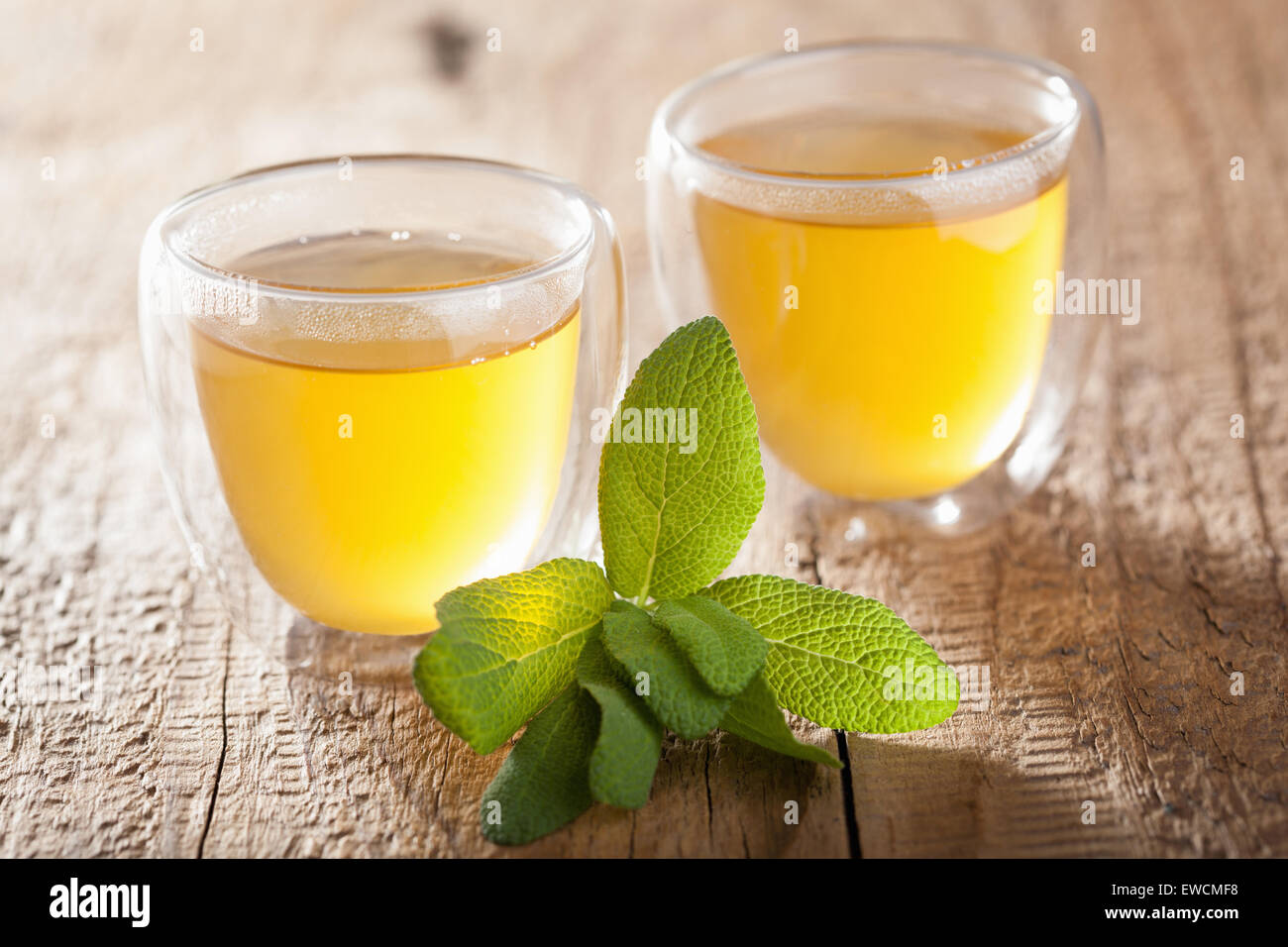 Transparent sage green hi-res stock photography and images - Alamy