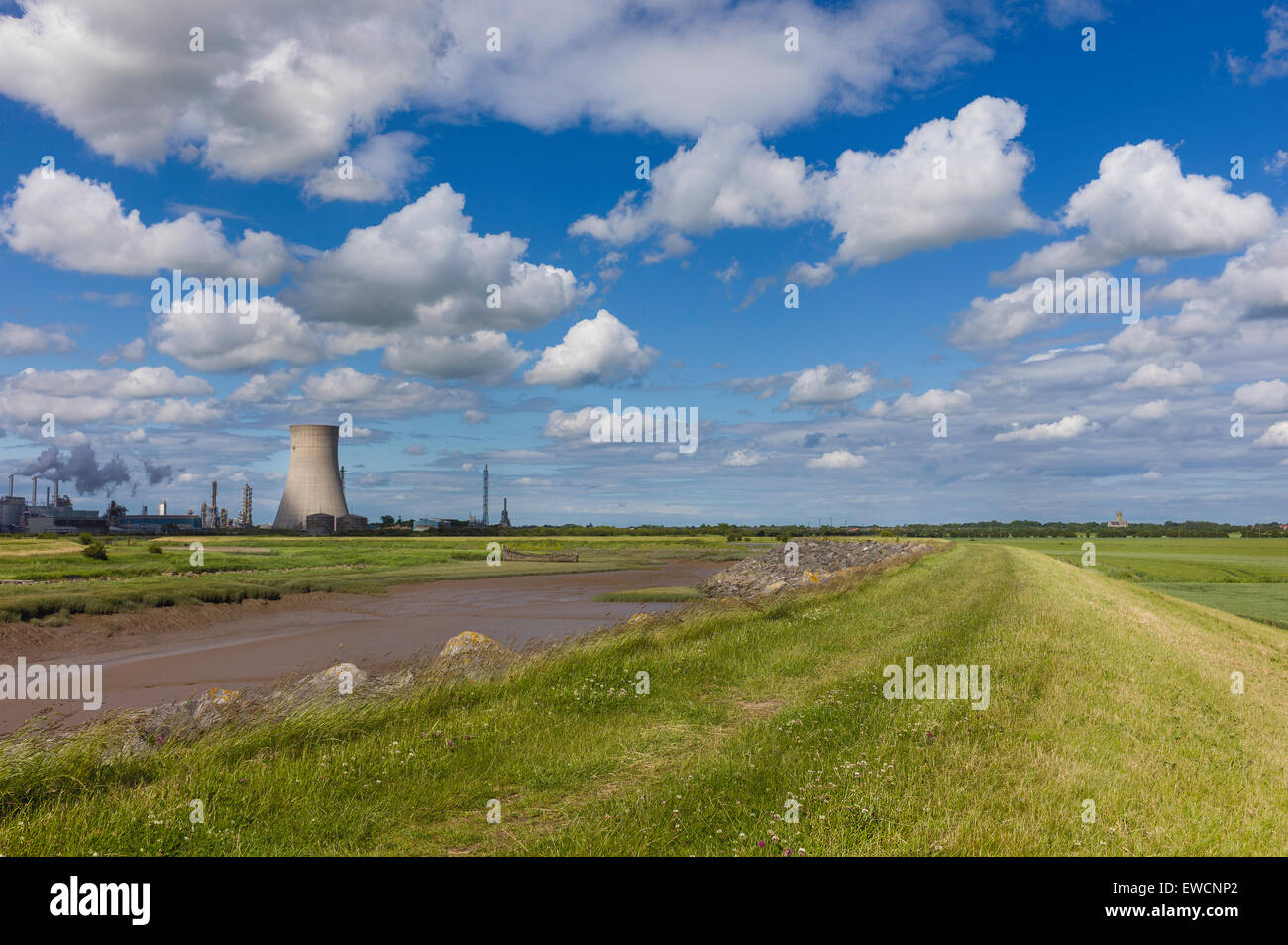 Mud bank hi-res stock photography and images - Alamy