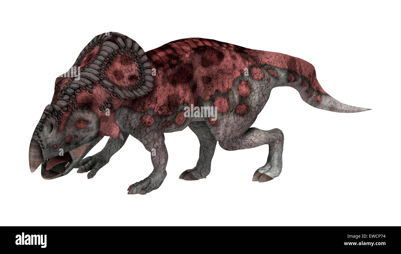 3D digital render of a dinosaur protoceratops isolated on white ...