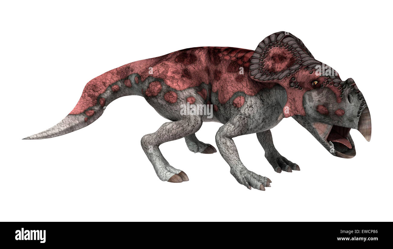 3D digital render of a dinosaur protoceratops isolated on white ...