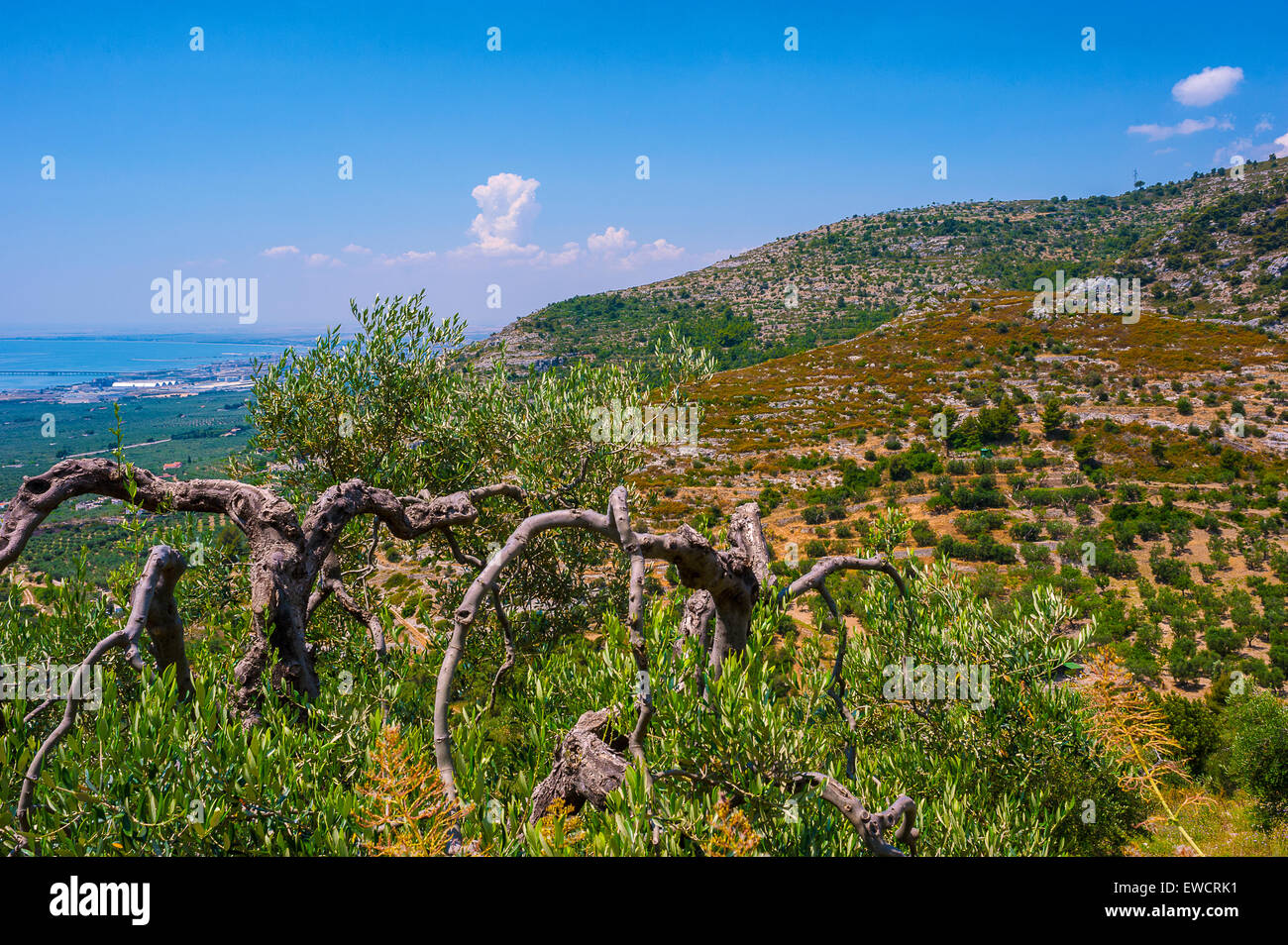 Apulia Gargano national Park Landscape Stock Photo - Alamy