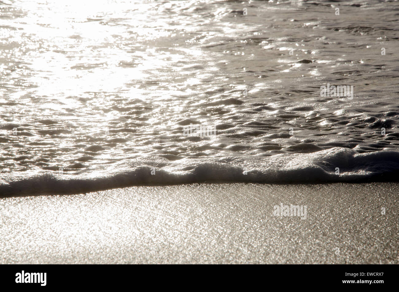 Seashore detail hi-res stock photography and images - Alamy