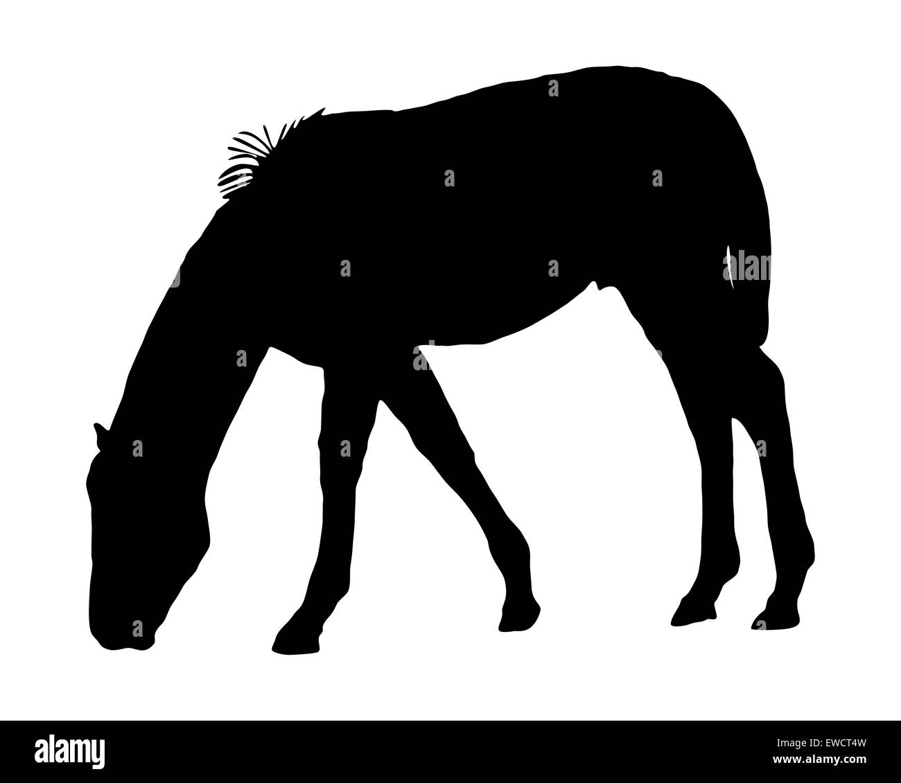 Coalt hi-res stock photography and images - Alamy