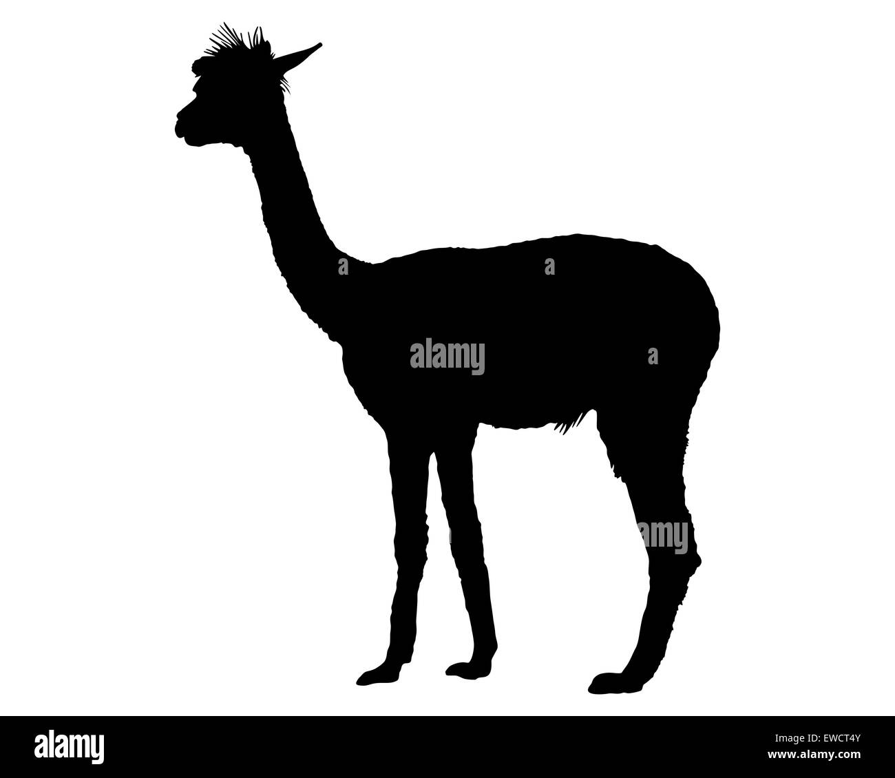 Guanaco silhouette Cut Out Stock Images & Pictures - Alamy