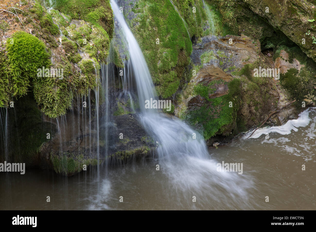 Wild natural waterfall in a deep mountain forest Stock Photo - Alamy