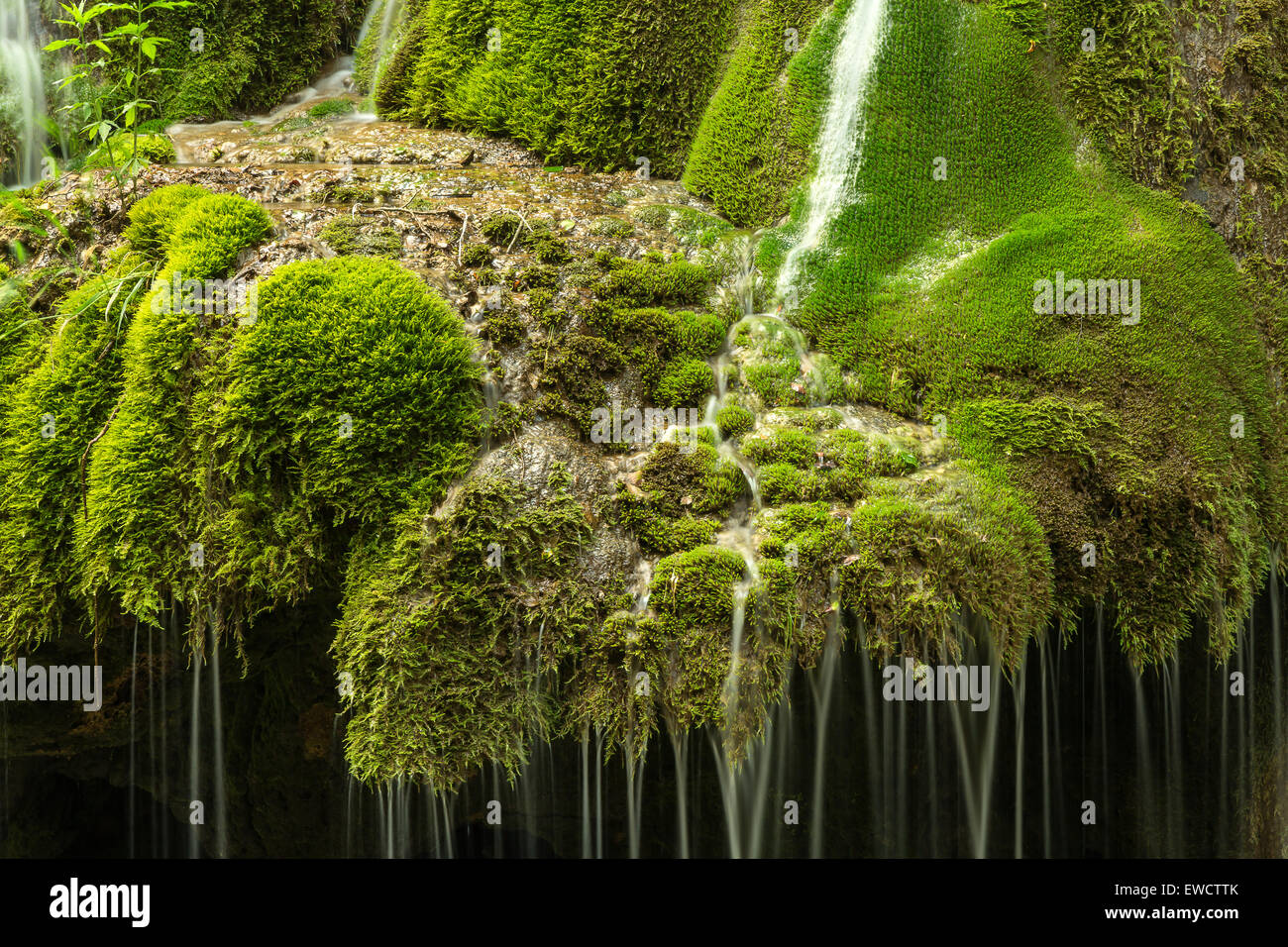 Wild natural waterfall in a deep mountain forest Stock Photo - Alamy
