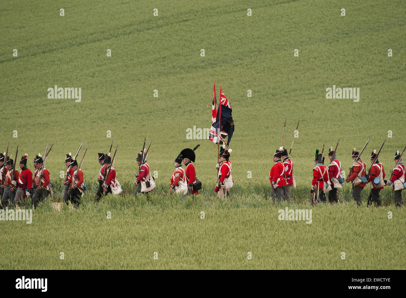 The battle of waterloo flags hi-res stock photography and images - Alamy