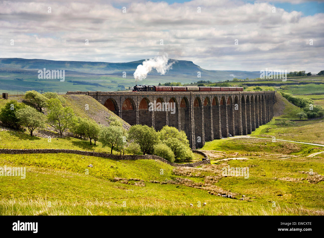 Ribblehead Viaduct, Yorkshire, UK. 23rd June, 2015. The Dalesman steam ...