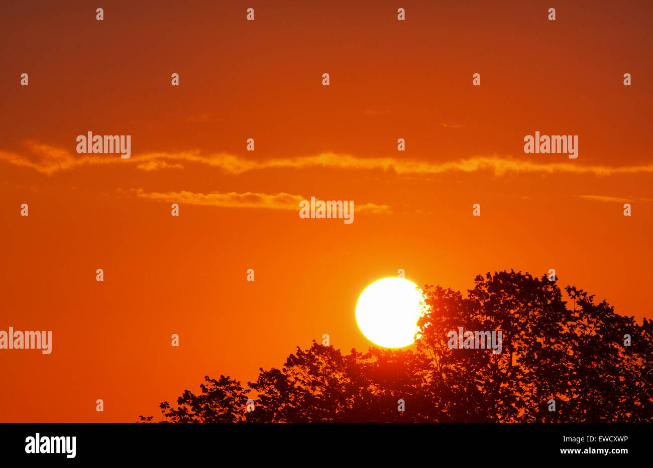 Sun behind tree hi-res stock photography and images - Alamy