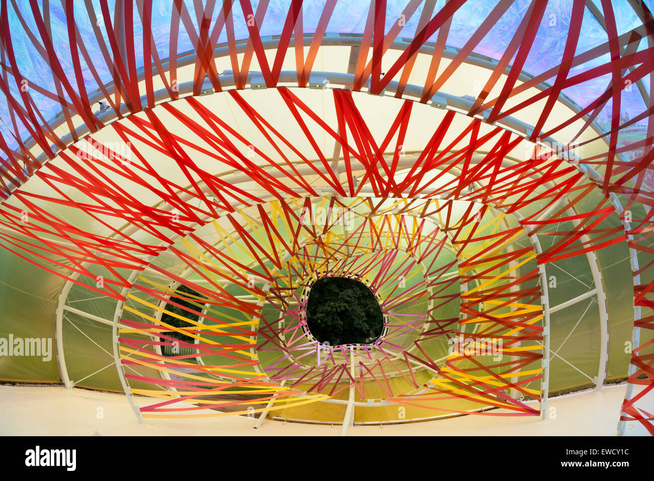 Fisheye view of the interior. Spanish architects selgascano have ...