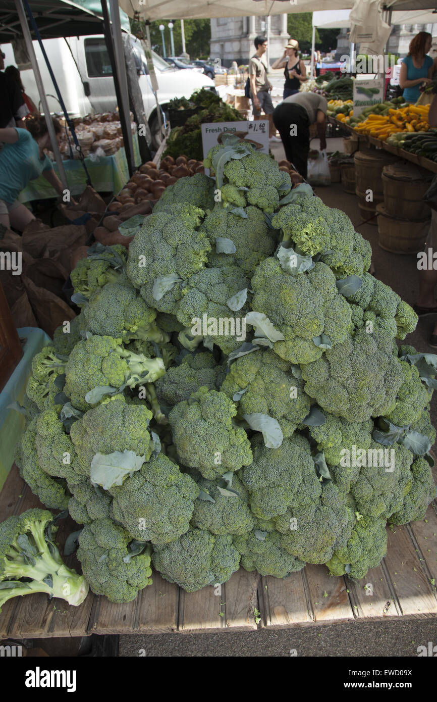 Fresh Broccoli for sale at the Farmers Market in Park Slope, Brooklyn ...