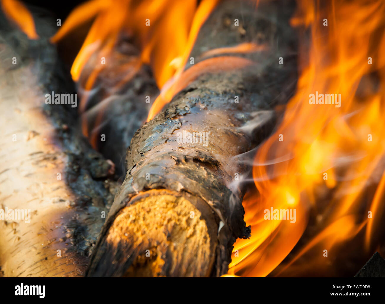 Burning fire wood and ember Stock Photo - Alamy