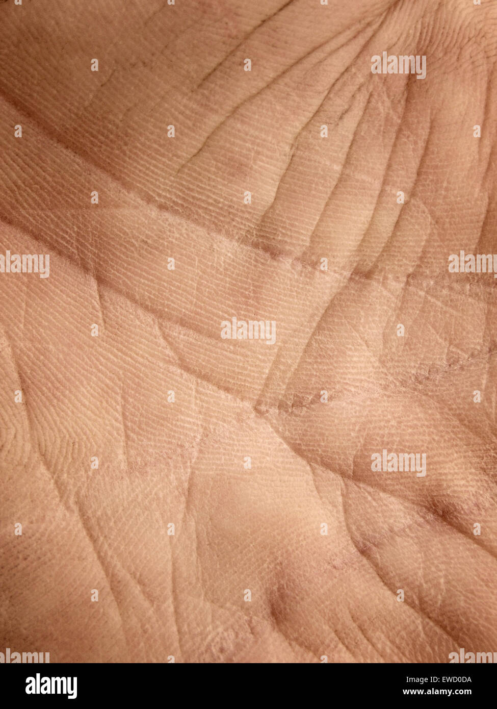 human skin background (hand Stock Photo - Alamy