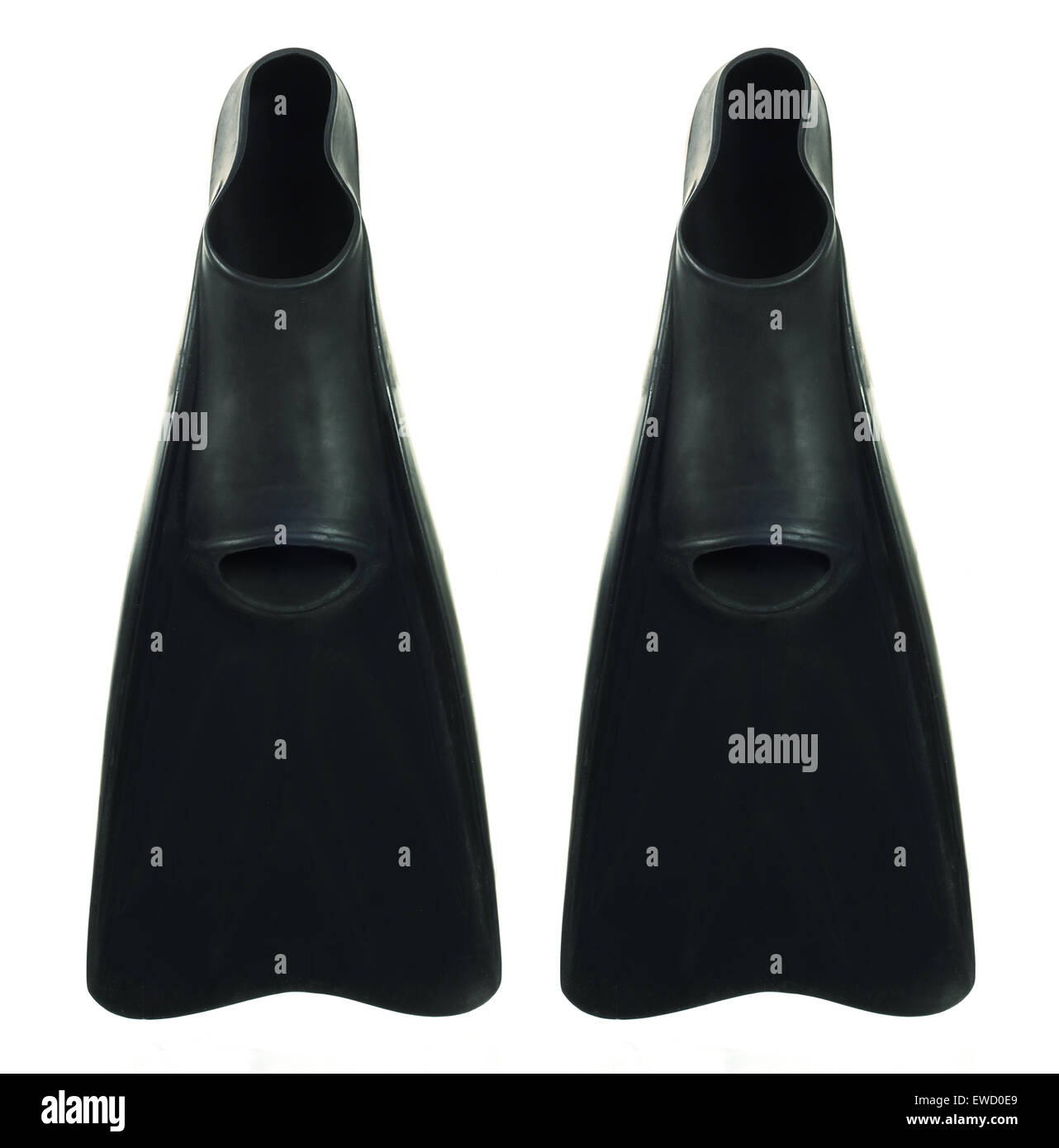 Rubber Flippers High Resolution Stock Photography and Images - Alamy