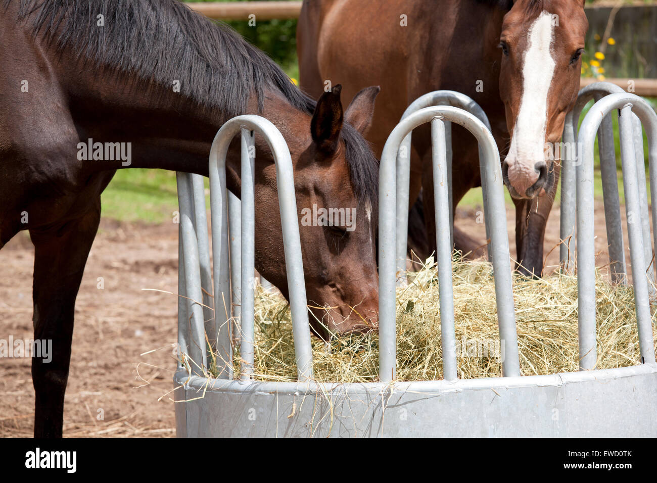Hay rack hi-res stock photography and images - Alamy