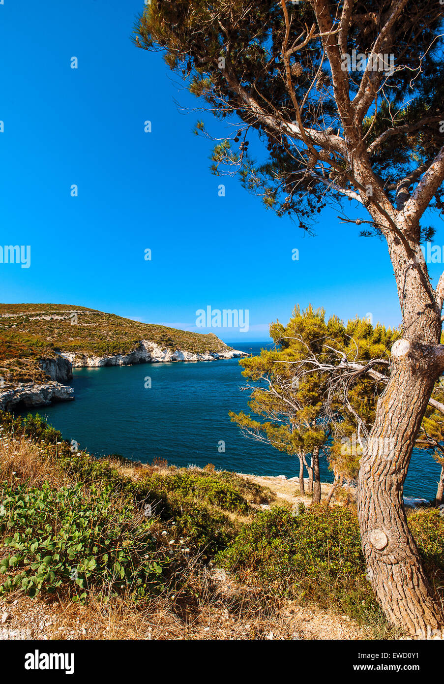 Gargano national park hi-res stock photography and images - Alamy