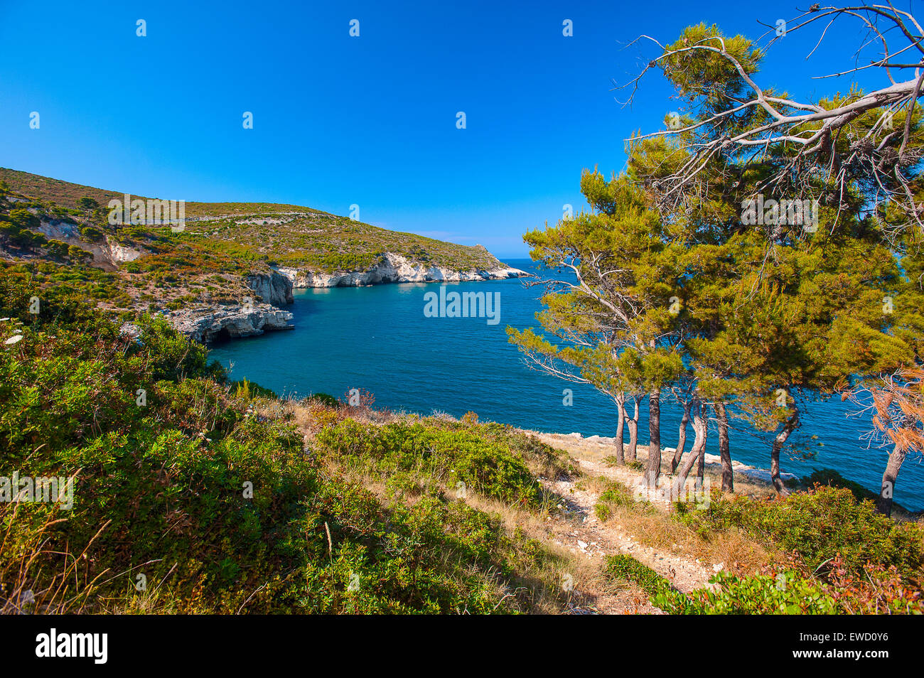 Italy Apulia Gargano National Park - The Head of Gargano Stock Photo ...