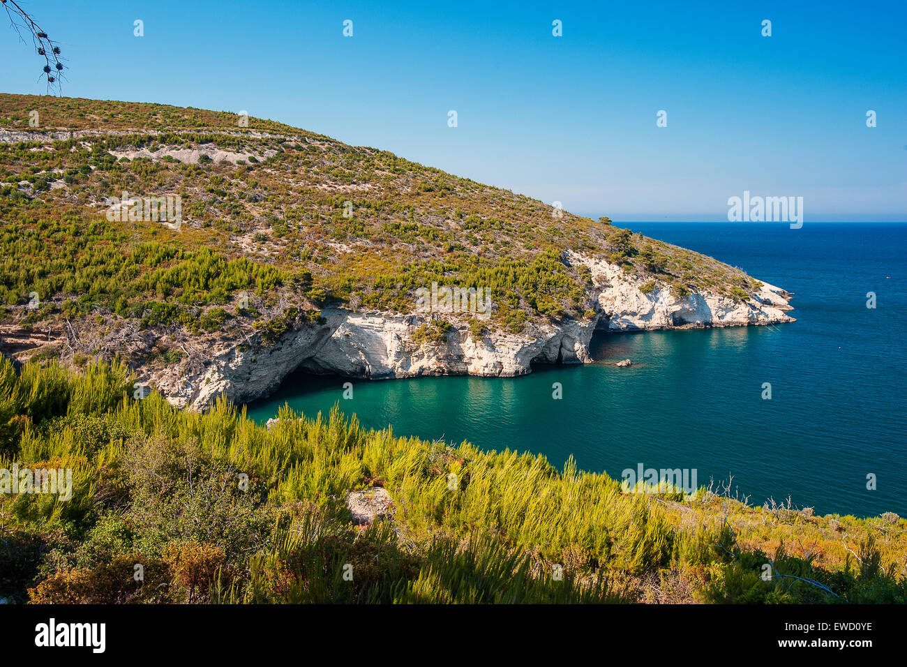 Italy Apulia Gargano National Park - The Head of Gargano Stock Photo ...