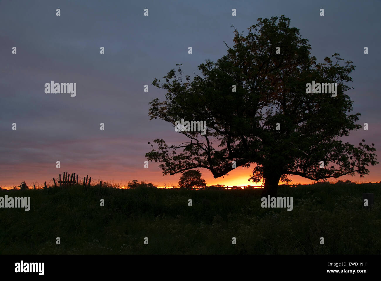Long eaton hi-res stock photography and images - Alamy