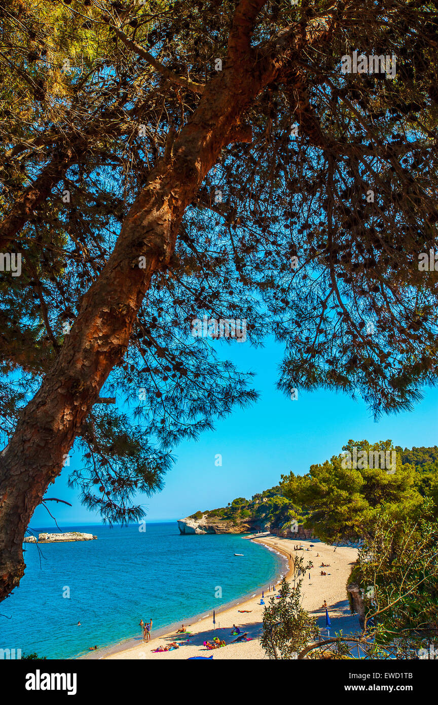 Parco nazionale del gargano hi-res stock photography and images - Alamy
