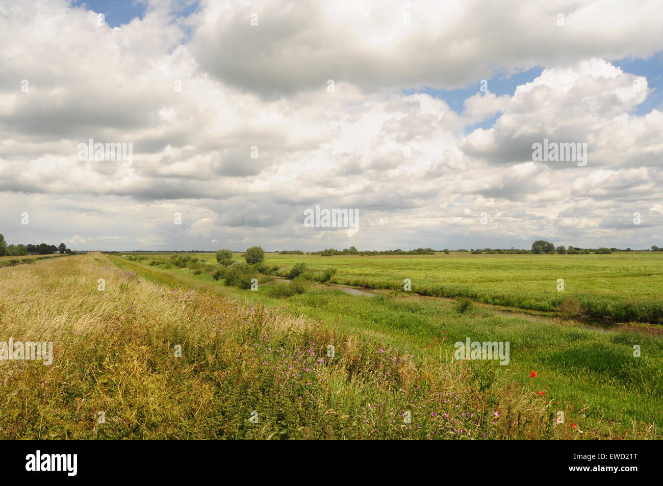 The Ouse Washes north of Welche's Dam, Cambridgeshire, England Stock ...
