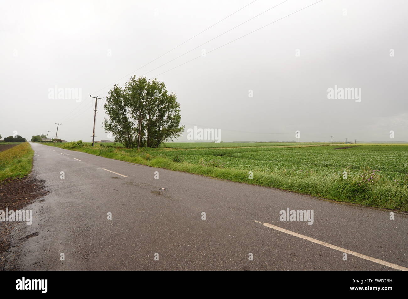 Manea cambridgeshire hi-res stock photography and images - Alamy