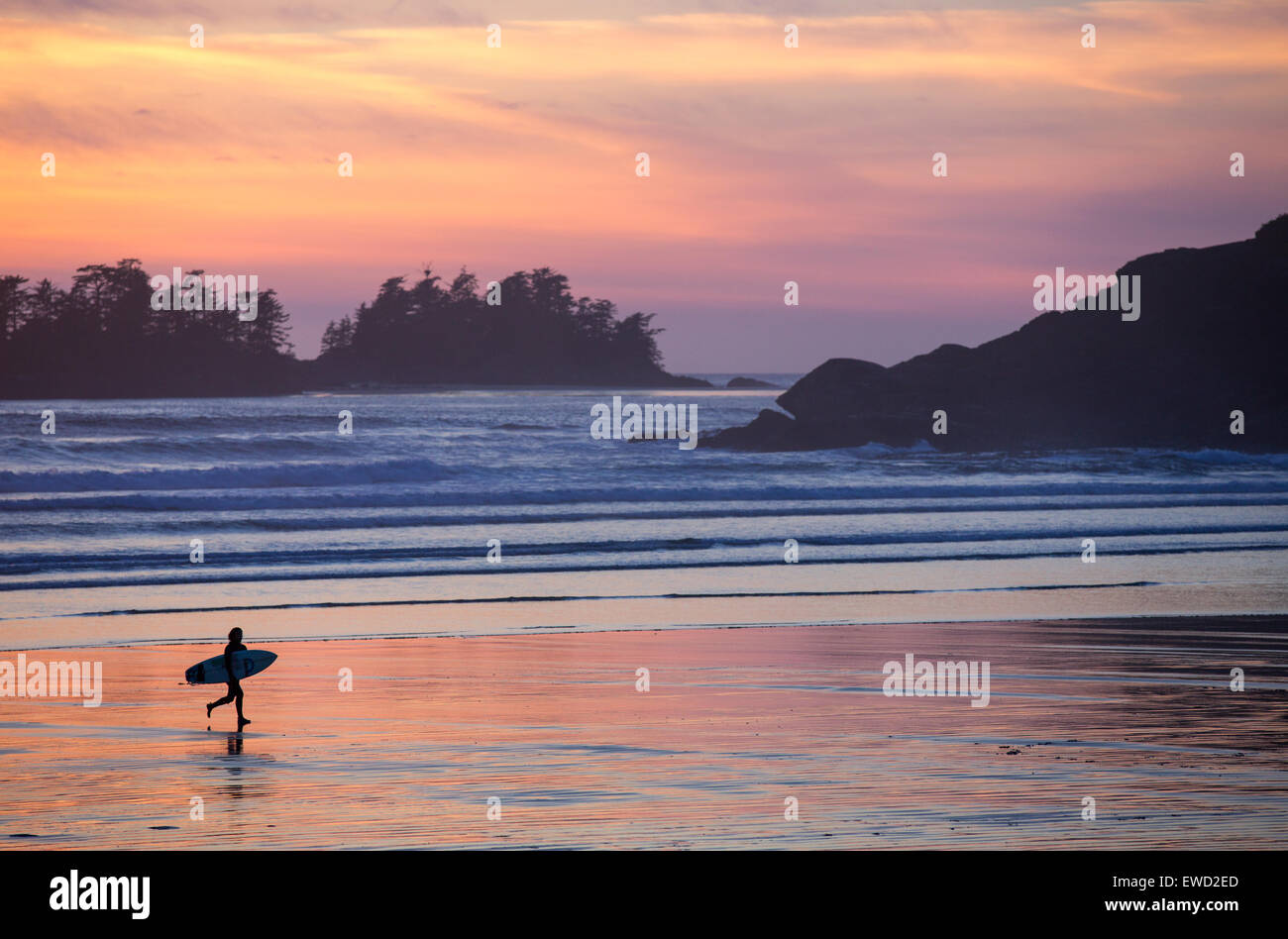 Surfer on Cox Bay Beach in Tofino at sunset Stock Photo - Alamy