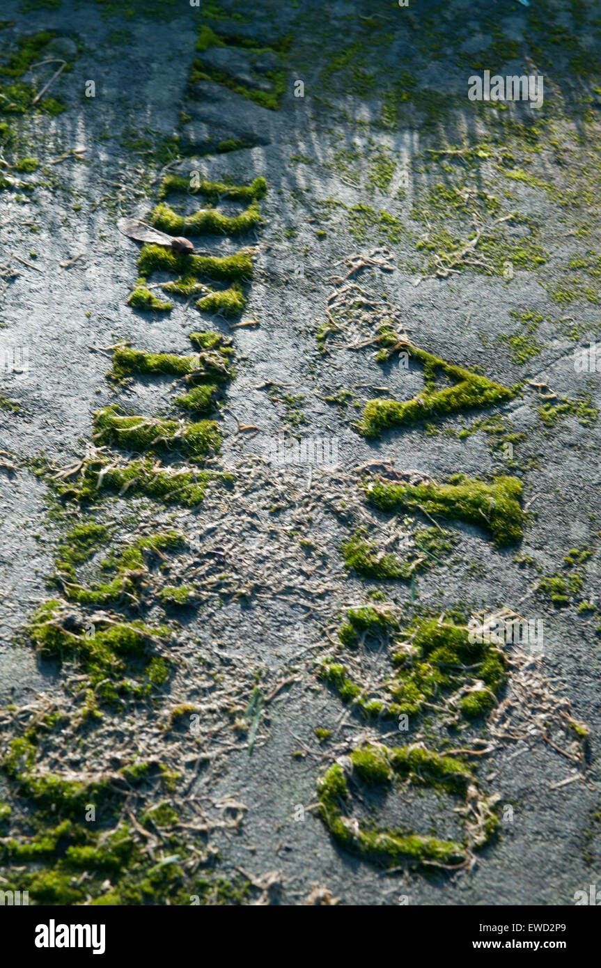 Moss covered gravestone hi-res stock photography and images - Alamy