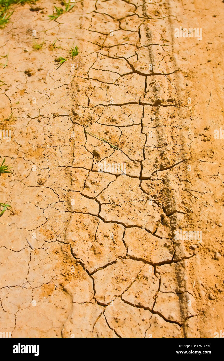 Cracked desert soil with few sprouts of grass Stock Photo - Alamy
