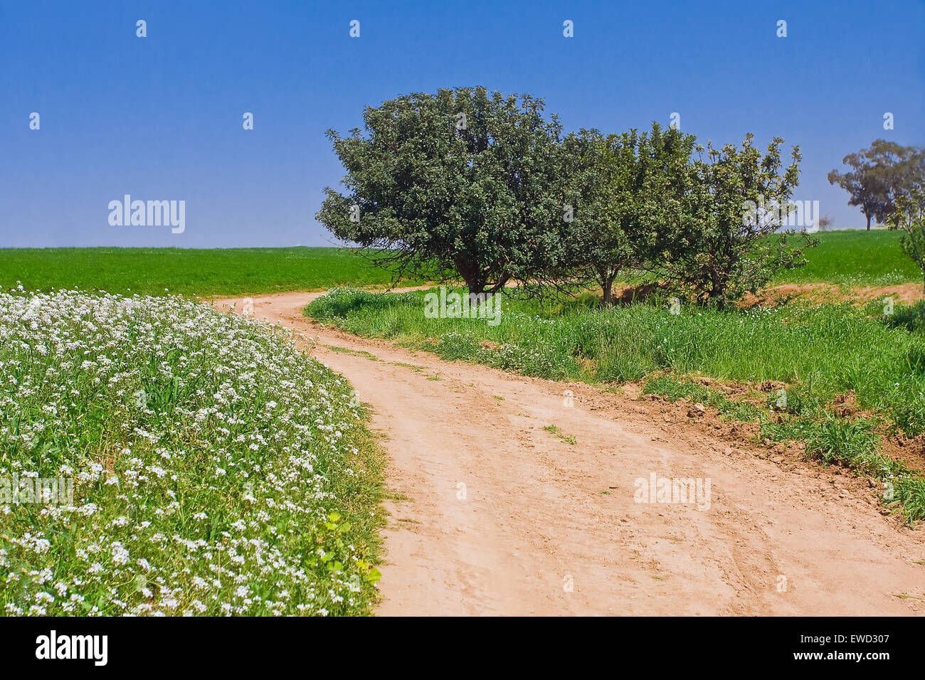 Rural country road among green meadow landscape with blue sky Stock ...